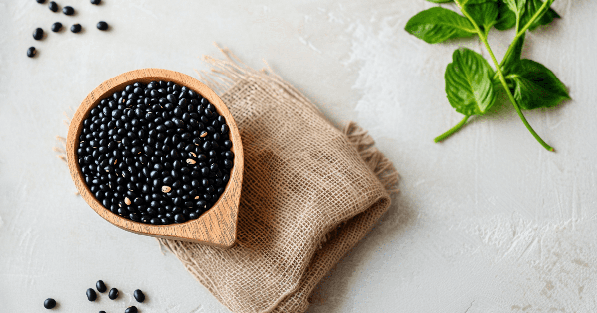 黒豆パワー隠れたタンパク質の源泉としての魅力 - 丹波篠山いのうえ黒豆農園