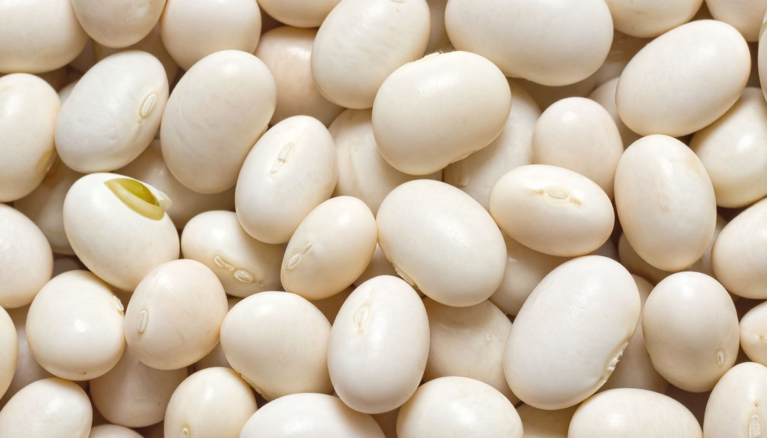 白小豆とは？「幻の小豆」と呼ばれる理由、特徴、赤小豆との違いを完全解説 - 丹波篠山いのうえ黒豆農園