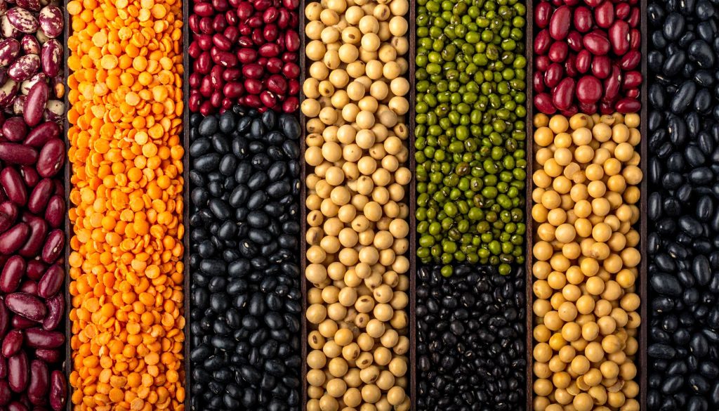 黄大豆とは？特徴・用途から代表的な品種、青大豆や他の大豆との違いを徹底解説 - 丹波篠山いのうえ黒豆農園